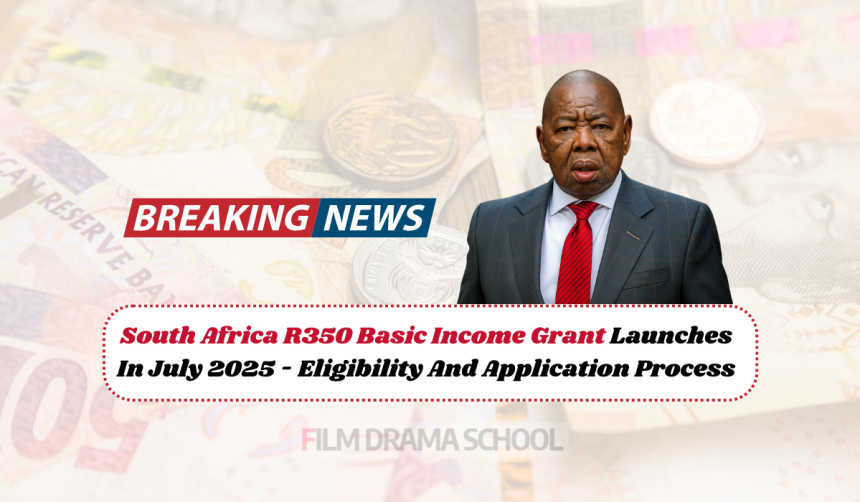 South Africa R350 Basic Income Grant Launches In July 2025 ...